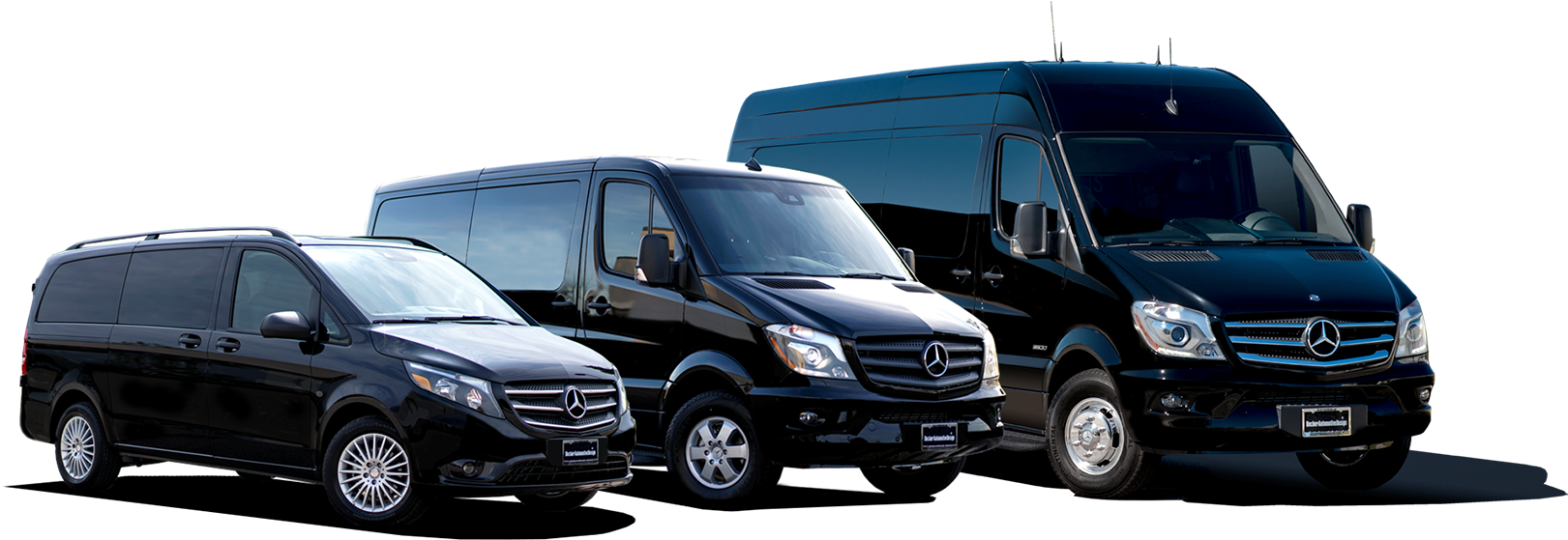 WTS Travel | Coach Hire UK